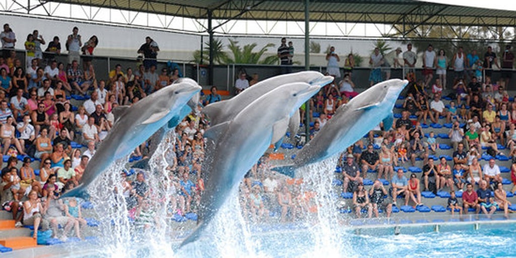 Escapada en familia a Zoo Marine Algarve: horarios, entradas, cómo ...