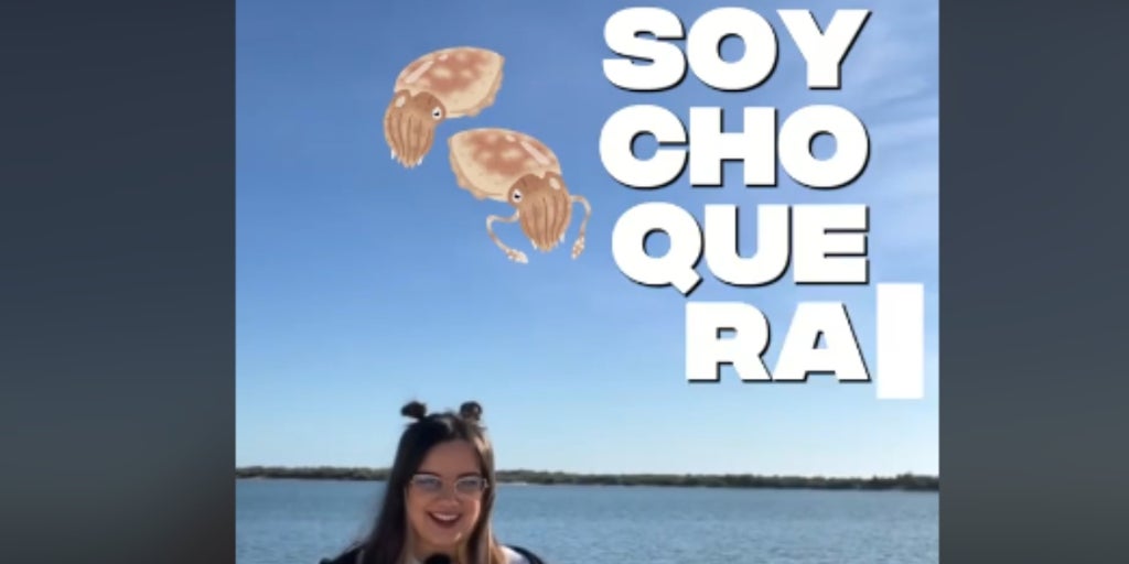 ¿Sabes por qué a los onubenses se les conoce como 'choqueros'? Este es ...