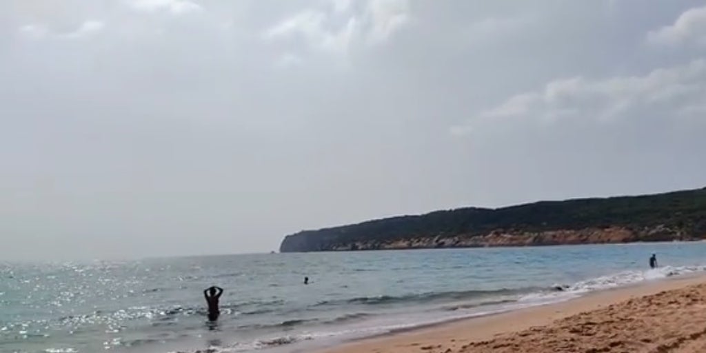 La playa gaditana que se encuentra en pleno parque natural rodeada de ...