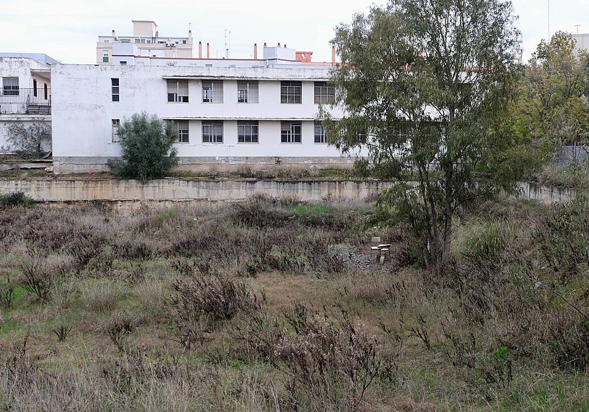 El Ayuntamiento de Cádiz saca a licitación la construcción del Pabellón ...