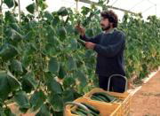 Michael Minning: Un negociador con currículo