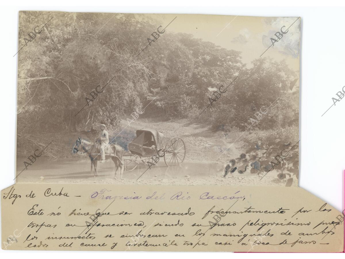 A los lados de su cauce los insurrectos se esconden en los manglares ...