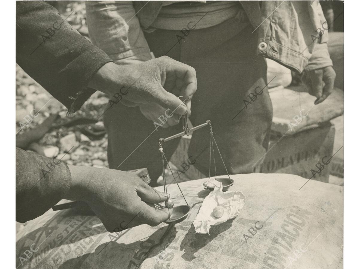 Isla de Lennox (Chile), 1959 - Archivo ABC