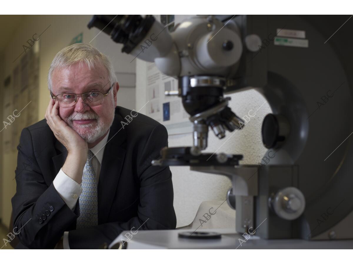 Entrevista al doctor Karl Zilles - Archivo ABC