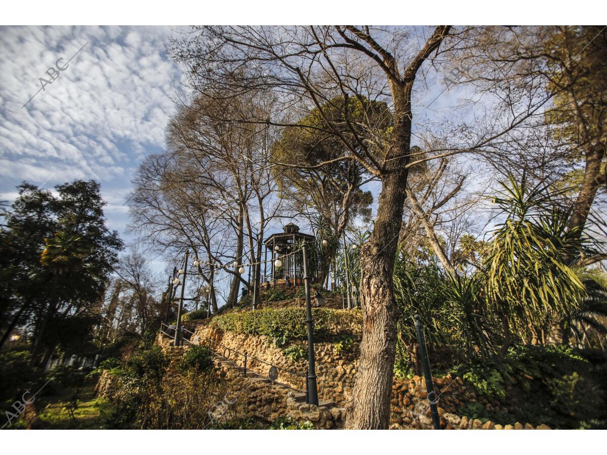 El parque de María Luisa. En la Imagen, el monte Gurugú - Archivo ABC