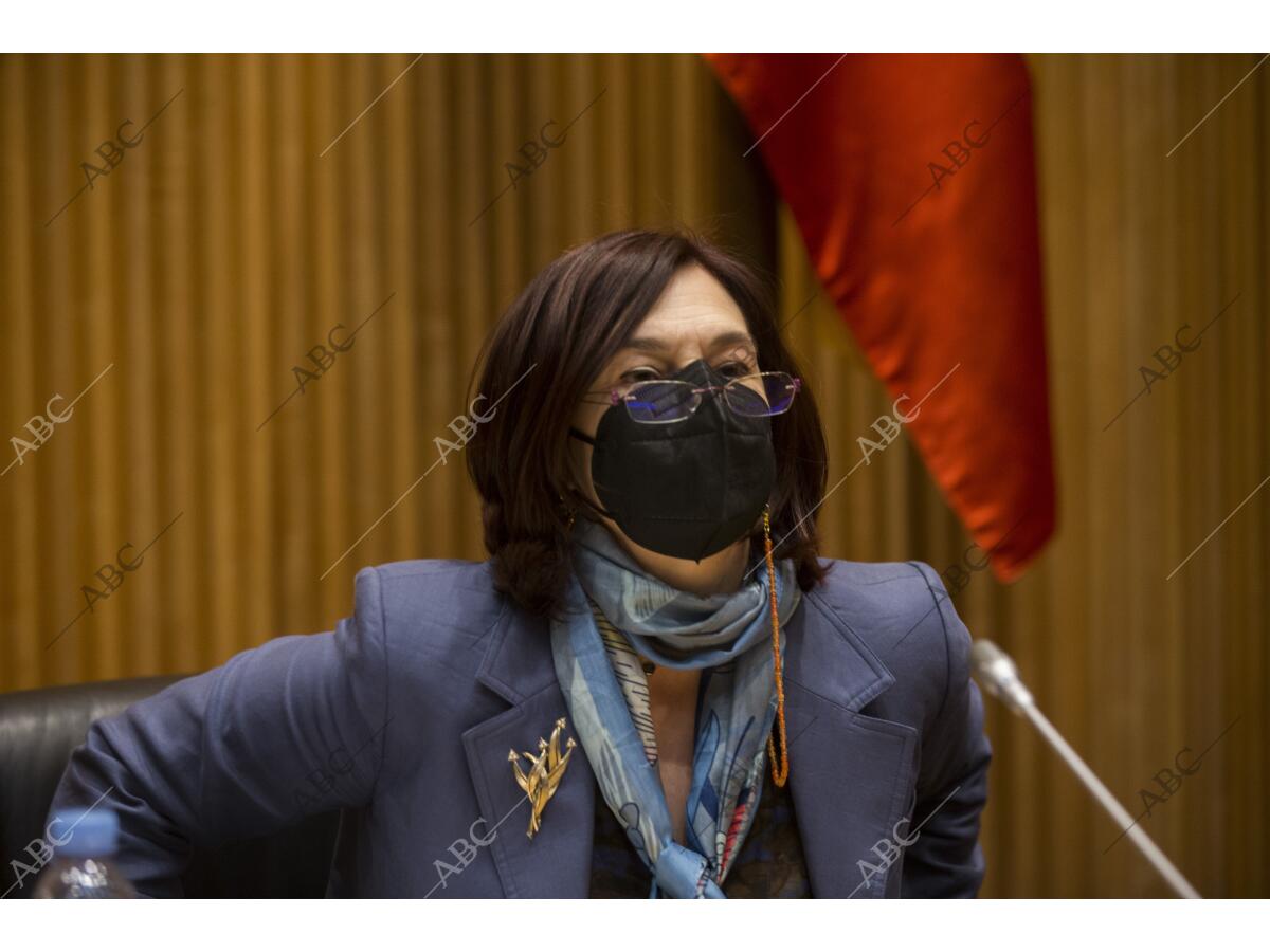 La presidenta de la Comisión Nacional de los Mercados y la Competencia ...