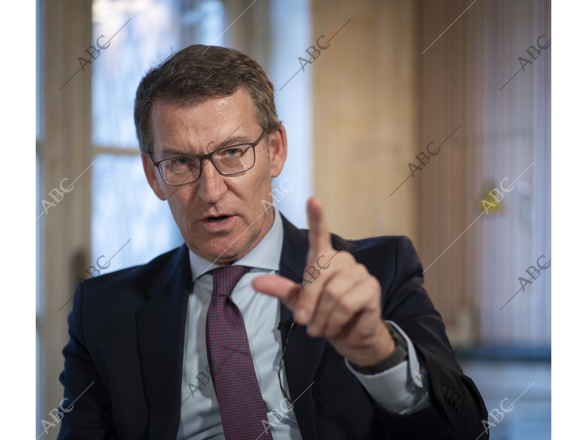 Entrevista a Alberto Núñez Feijóo, presidente del Partido Popular ...
