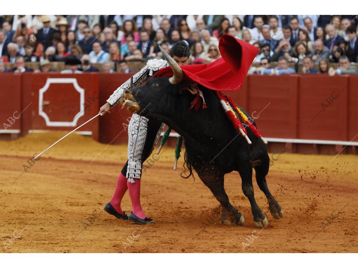 Toros de victoriano del río y Toros de cortés para Juan Ortega, roca ...