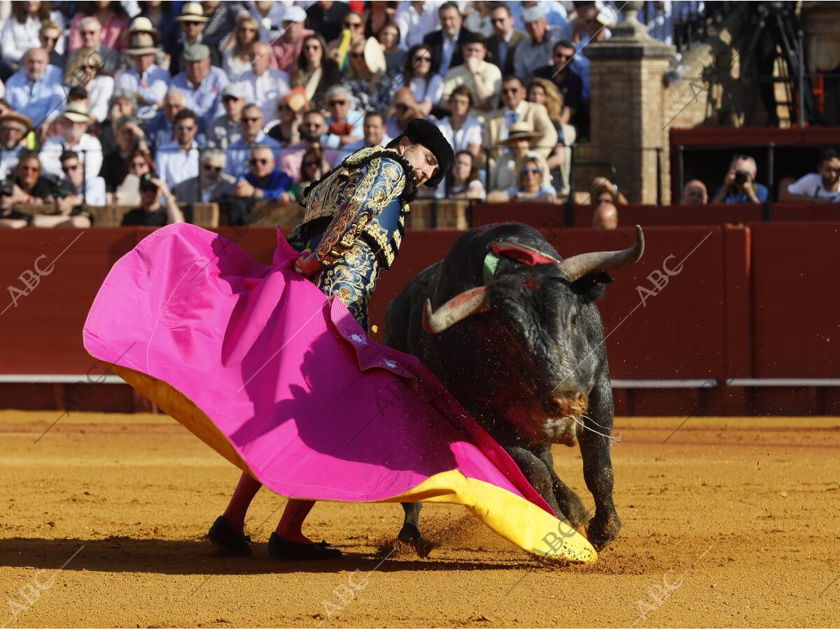Se lidiaron toros de Miura para Manuel Escribano, David Fandilla «El ...