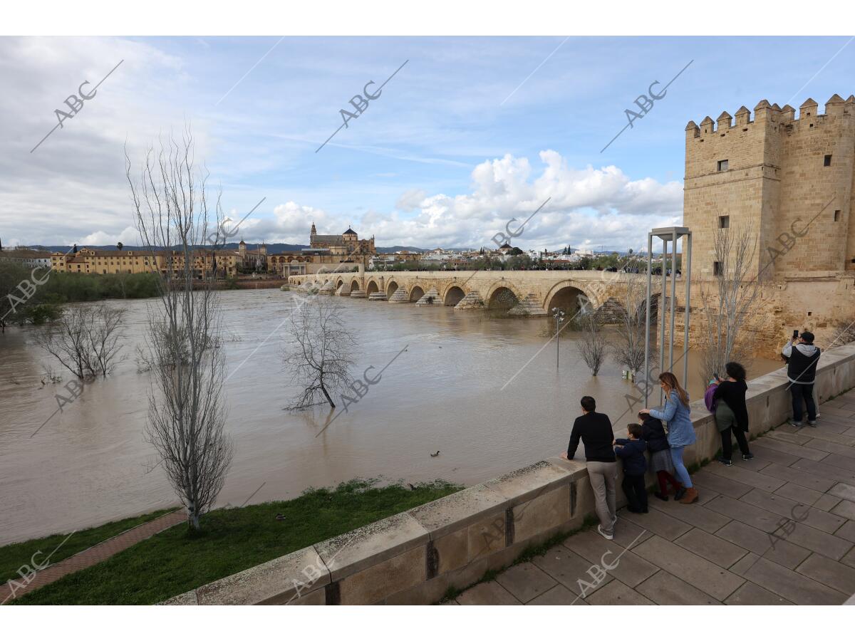 La lluvia, borrascas y la crecida del río Guadalquivir provocan ...