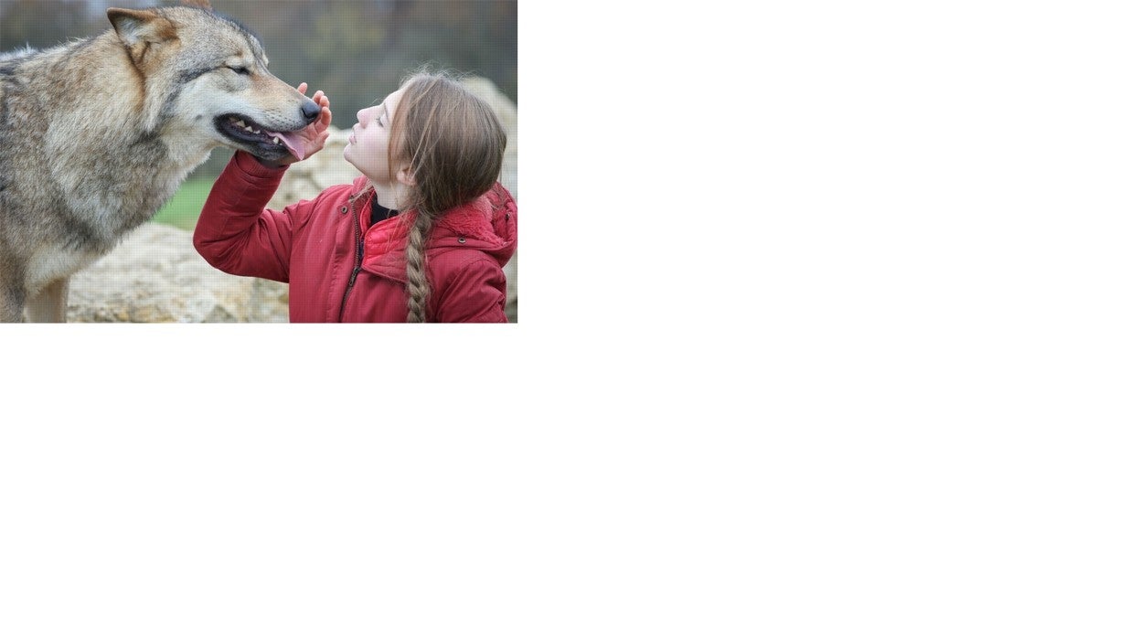 Denis Imbert, director de 'El secreto de Vicky': «El vínculo entre la ...